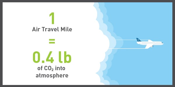 Stego’s Sustainability Efforts Offset its Carbon Footprint