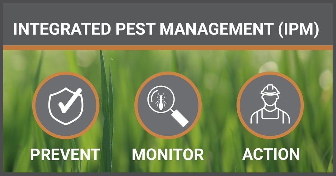 Why Integrated Pest Management Ipm Is Critical In Construction