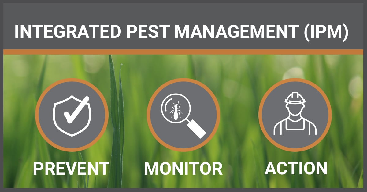 Why Integrated Pest Management (IPM) is Critical in Construction
