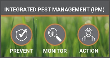 Why Integrated Pest Management (IPM) is Critical in Construction
