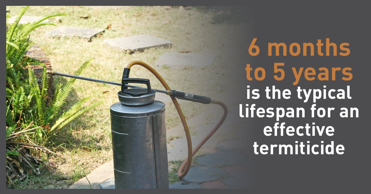 4 Pre-Construction Strategies to Prevent Subterranean Termite Damage